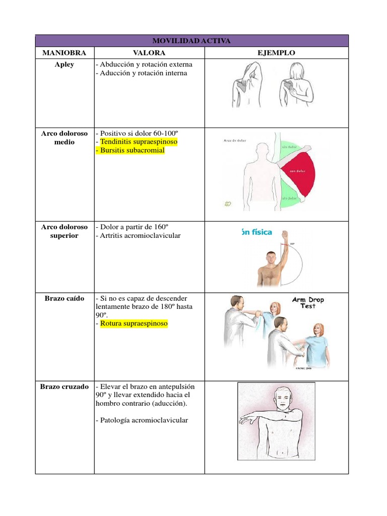 Anatomía Y Exploración Física Del Hombro Paso A Paso – IEVUO