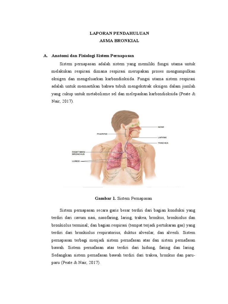 LP Asma Bronkial | PDF