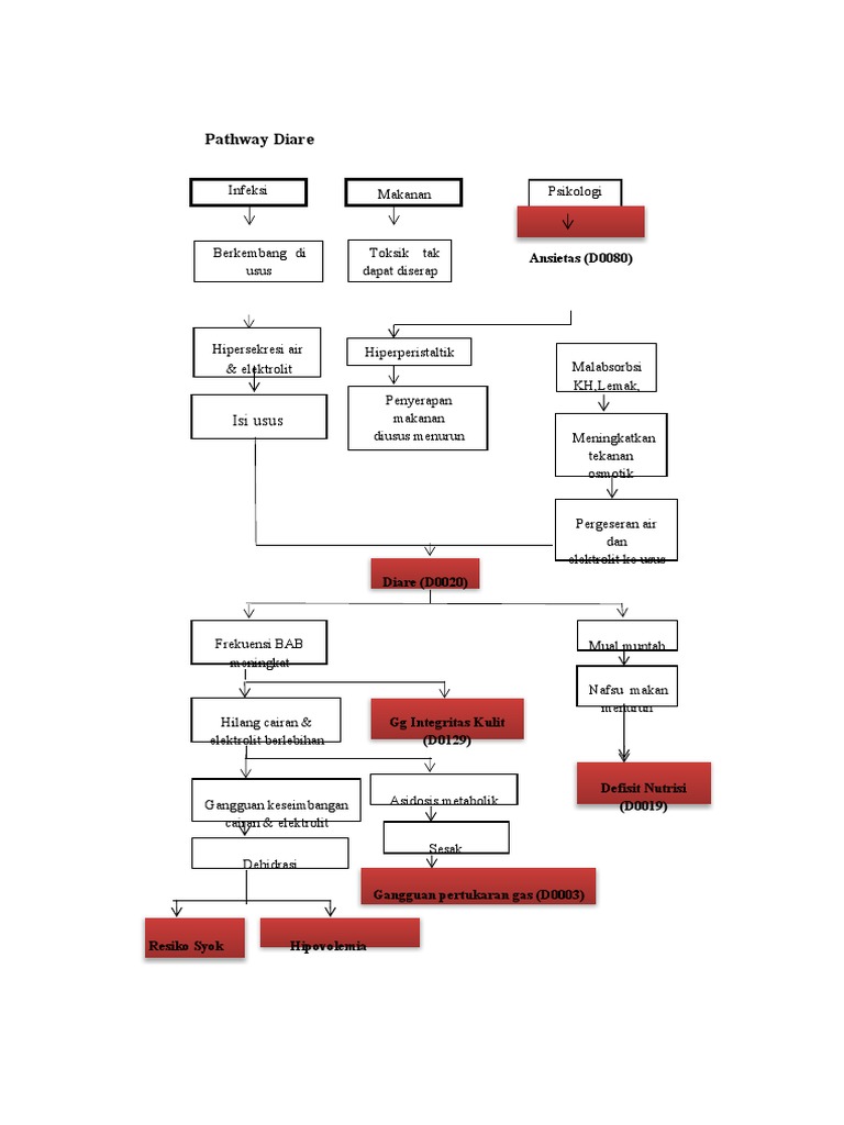 Woc Diare Meiryke | PDF