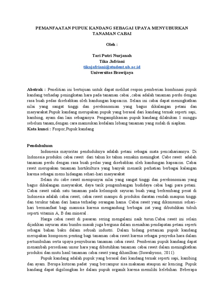 Bindo-Isi Konseptual | PDF