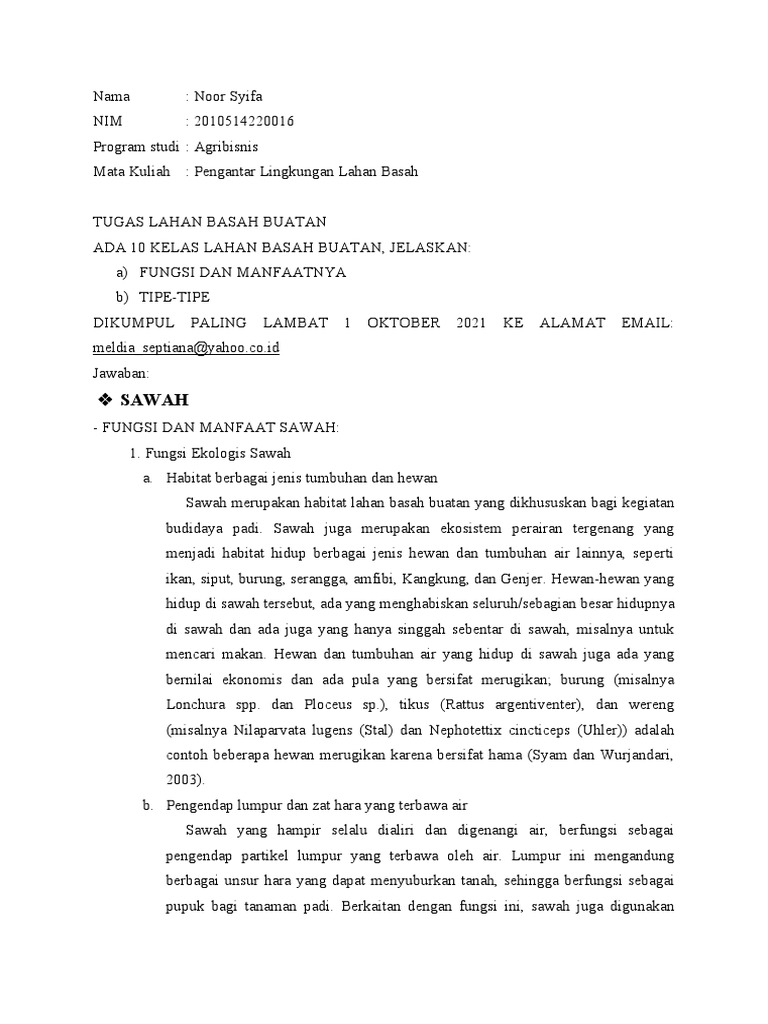 Noor Syifa - Lahan Basah Buatan | PDF