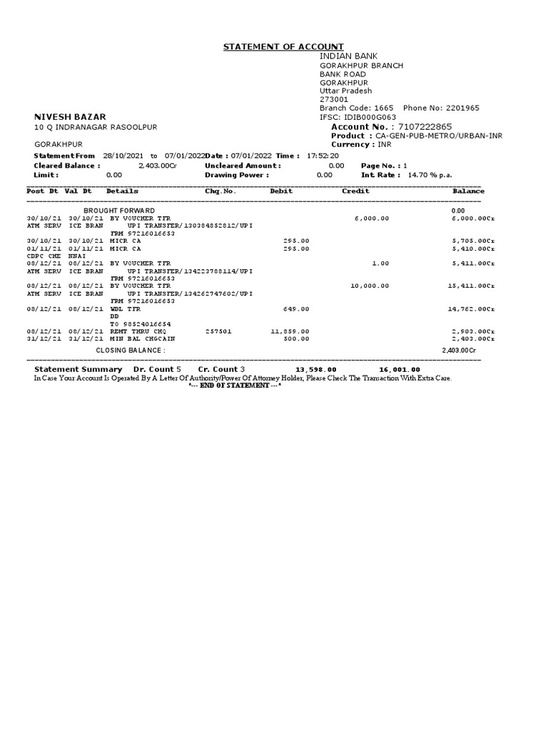 Indian Bank Account Statement Summary | PDF | Banking Technology ...
