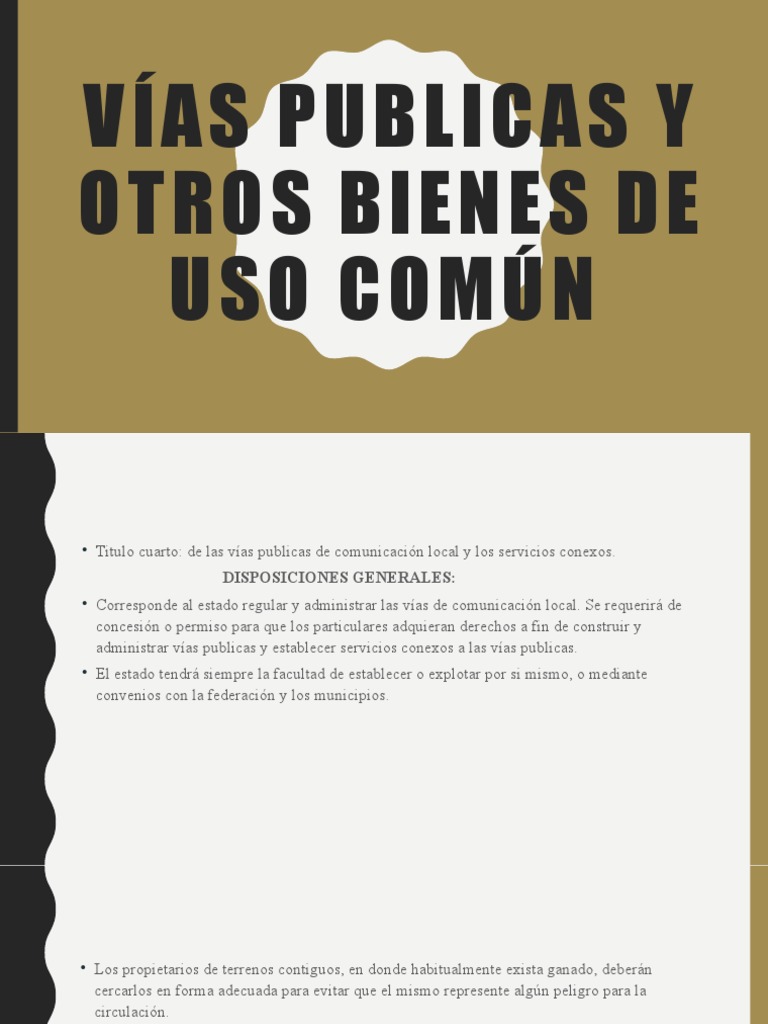 Vías Publicas y Otros Bienes de Uso Común | PDF | Propiedad | Justicia