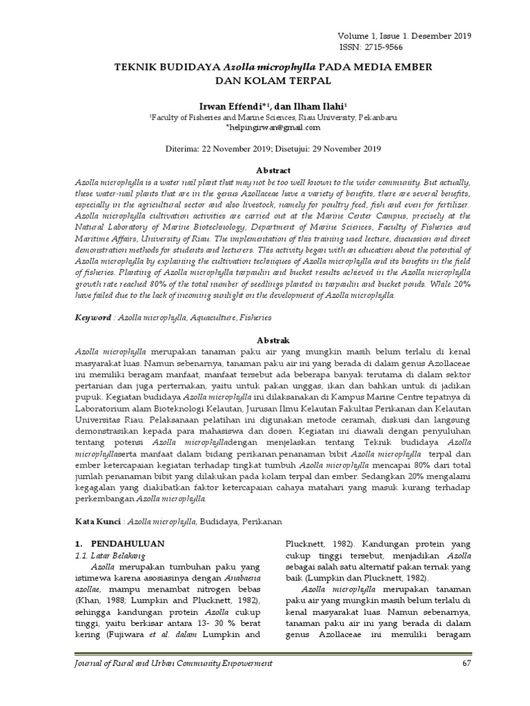 Budidaya Azolla Microphylla di Kolam | PDF | Aquatic Organisms ...