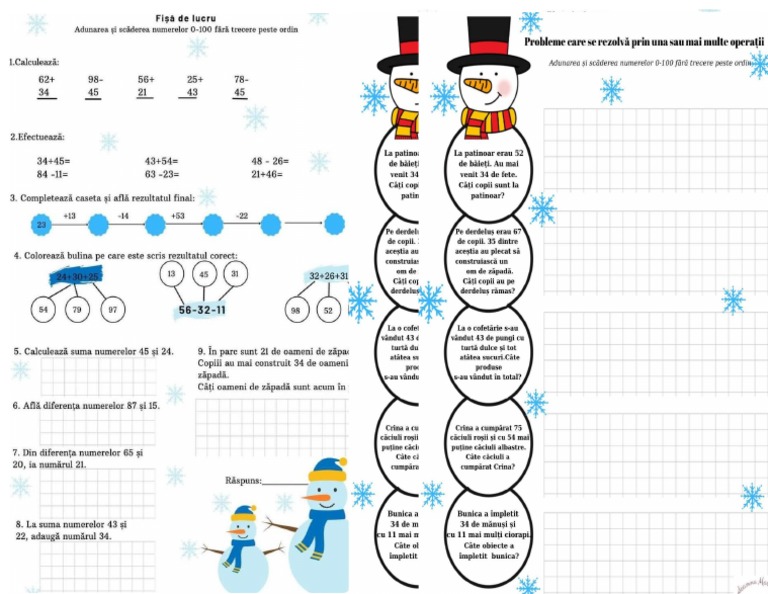 Fise de Lucru Mem | PDF