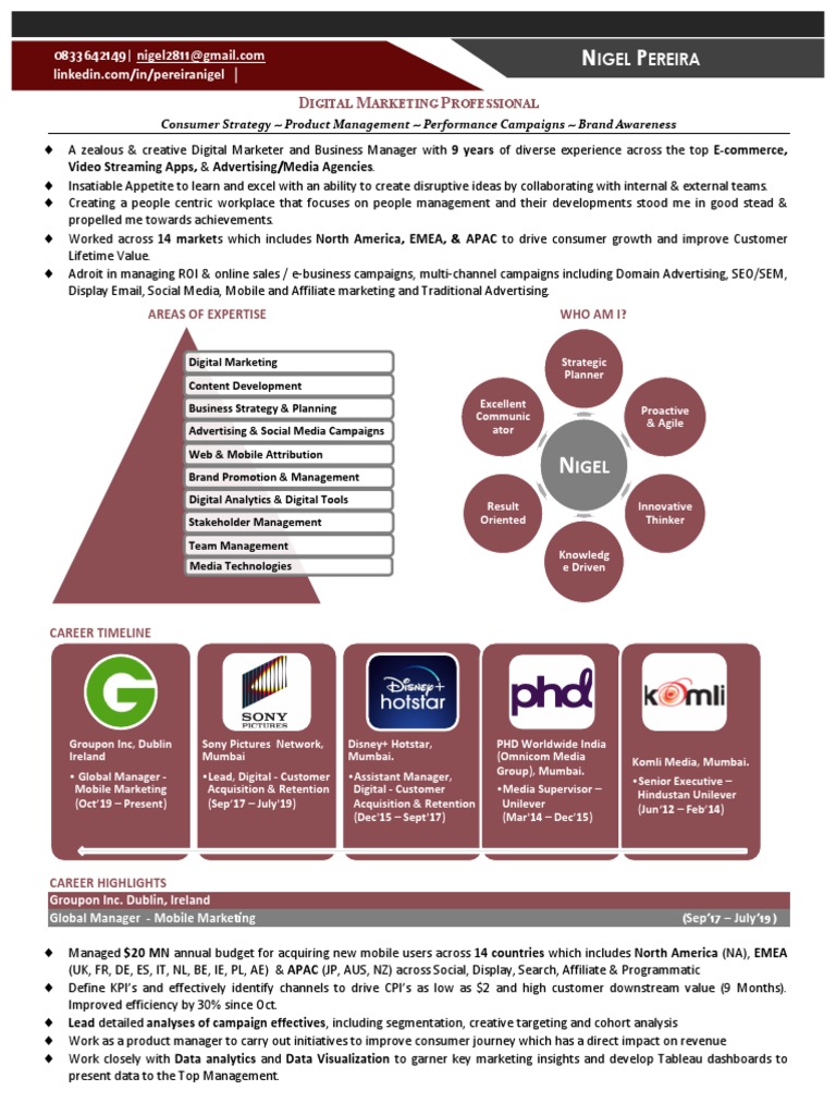 Digital Marketing Professional Profile | PDF | Digital Marketing ...