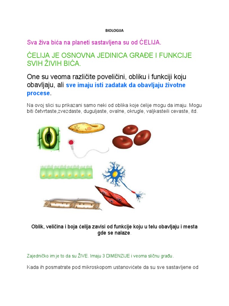 BIOLOGIJA | PDF