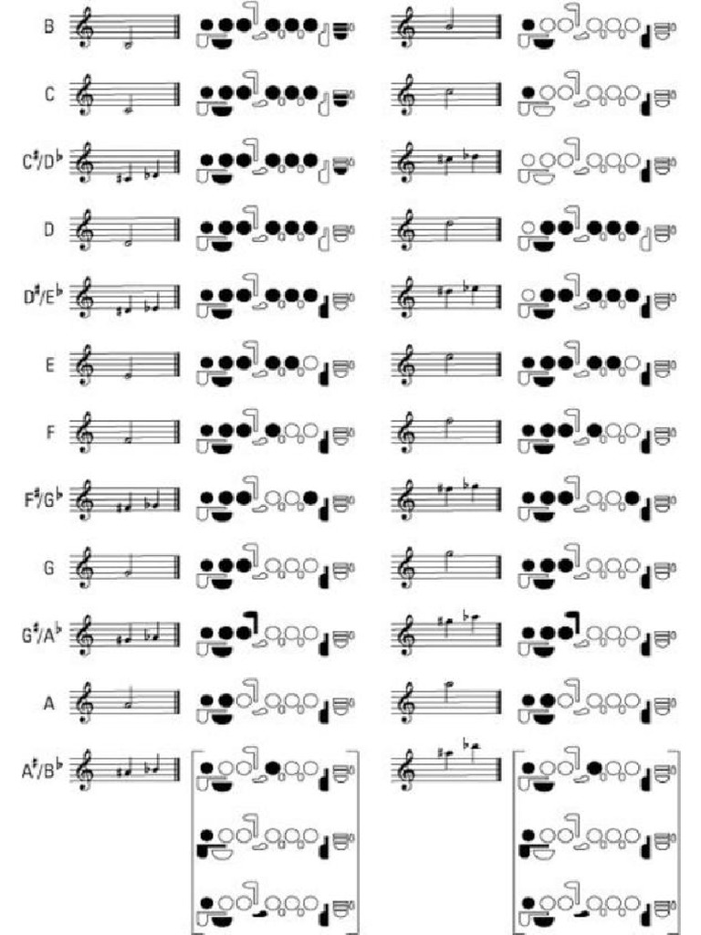 Tablatura Flauta Traversa | PDF