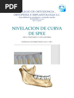 Curva de Spee y Wilson | PDF | Ortodoncia | Odontología