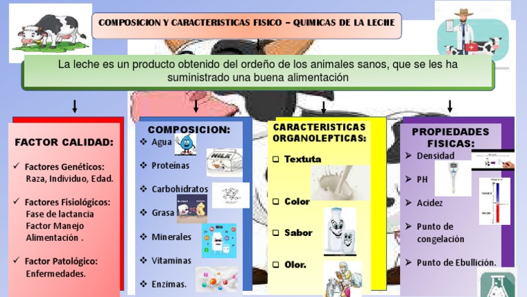 Mapa Conceptual Propiedades de La Leche | PDF