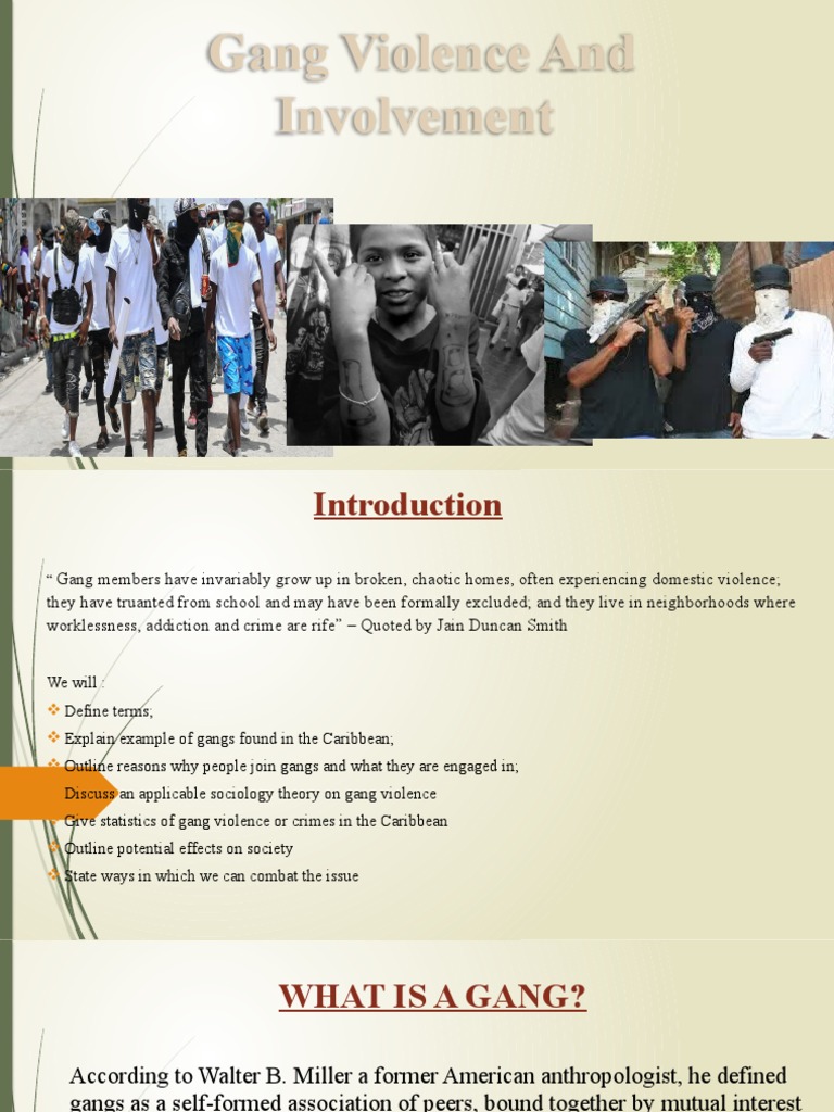 Gang Violence and Involvement | Download Free PDF | Gang | Crimes