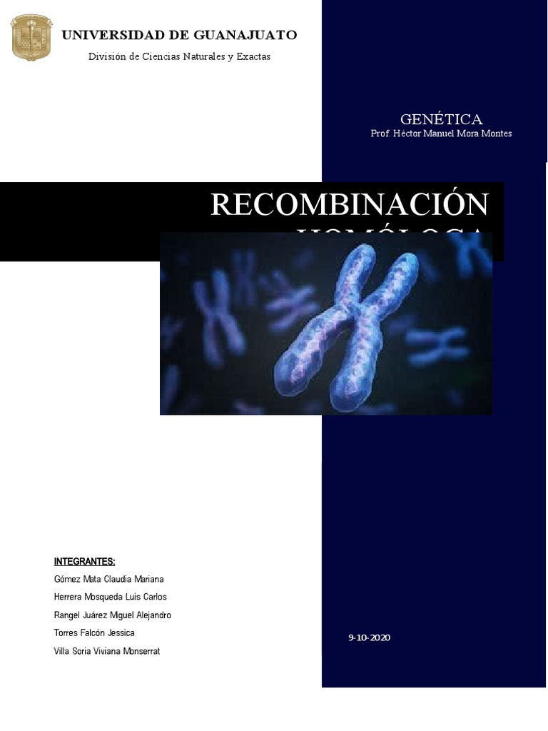 Intermediario de Holliday y conversión génica | PDF | Gene ...