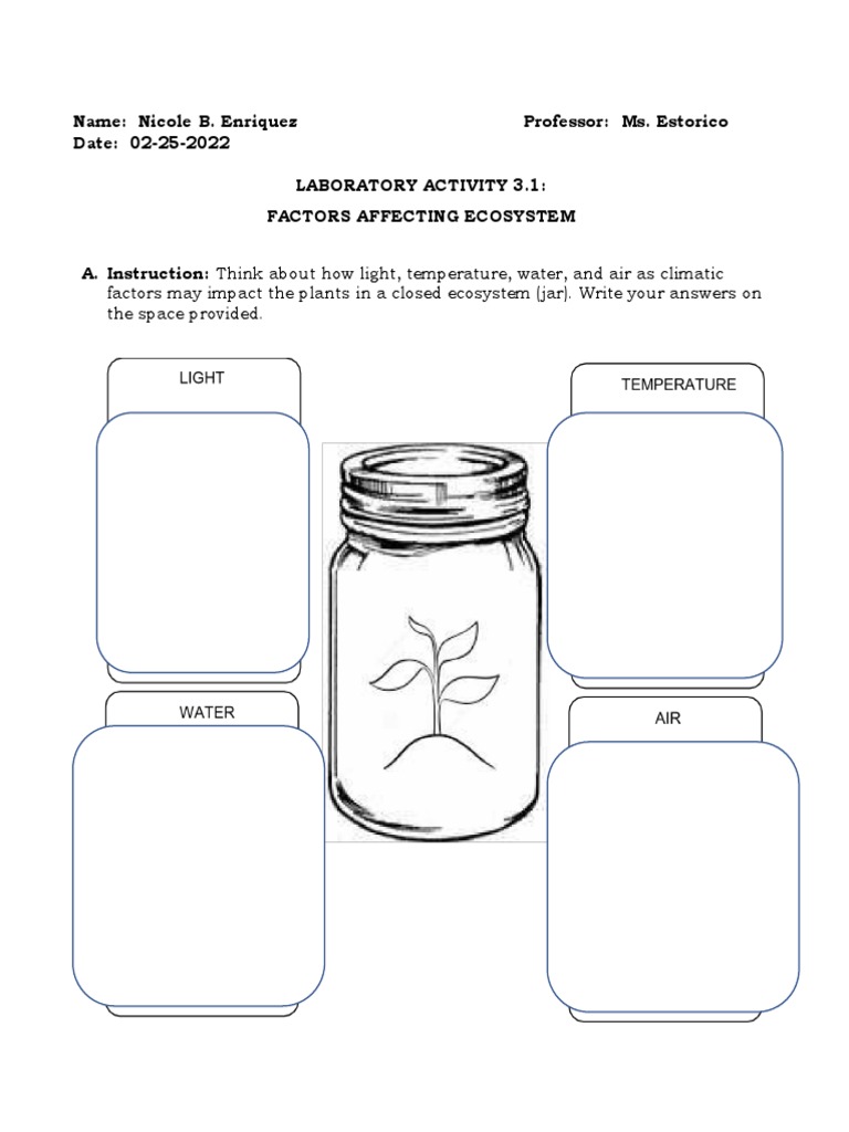 Activity 3.1 Factors Affecting Ecosystem | PDF | Plants | Ecosystem