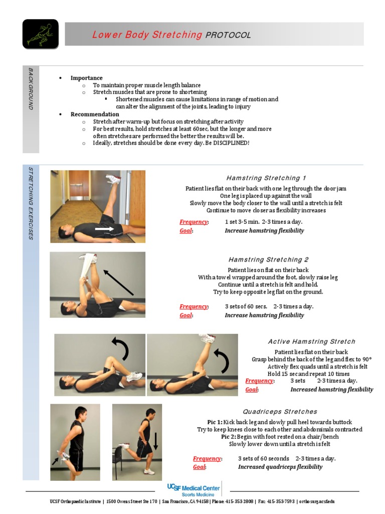 Lower Extremity Stretching Protocol | PDF | Flexibility (Anatomy ...
