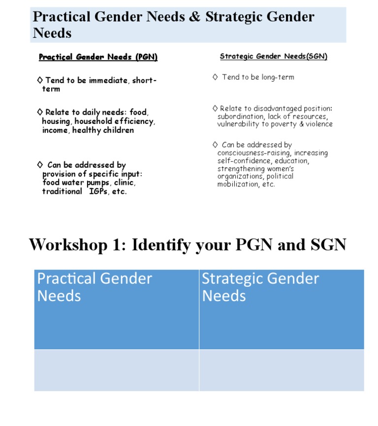 Template 1 - Practical Gender Needs & Strategic Gender Needs | PDF