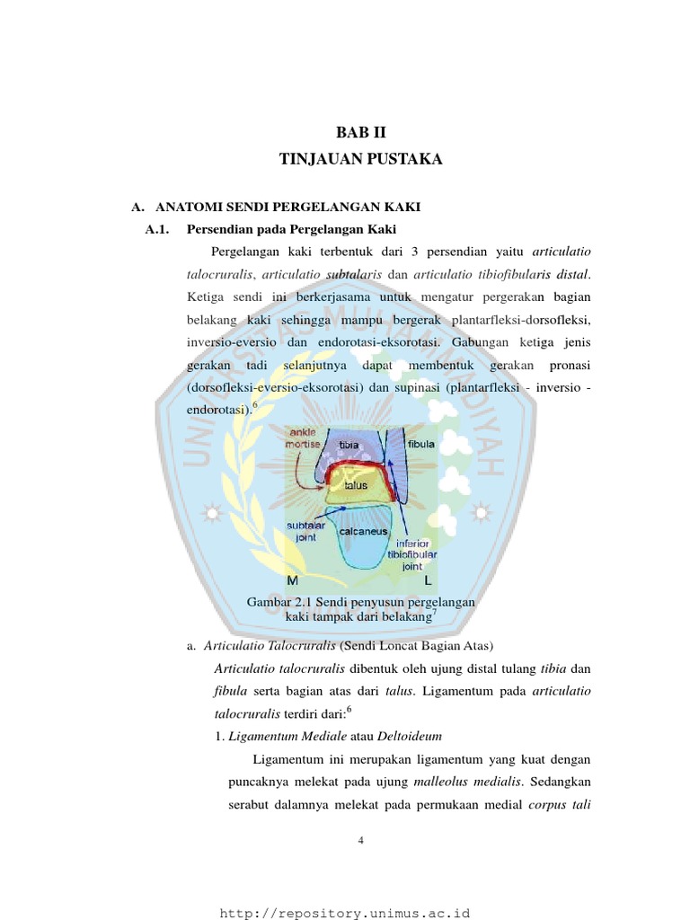 Bab Ii Tinjauan Pustaka: A. Anatomi Sendi Pergelangan Kaki A.1 ...