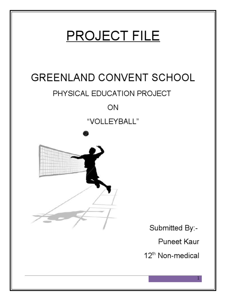 Volleyball Project File for Class 12 | PDF | Volleyball | Gaming