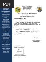 Bpoc Organizational Structure: Hon. Angelica T. Camarillo Hon. Joebanie ...