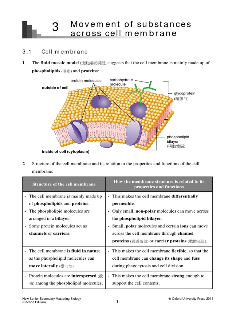 Movement of Substances Across Cell Membrane | PDF | Cell Membrane | Osmosis
