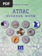 Virtual Microscope by BIONETWORK: Name: - Date | PDF | Microscope ...