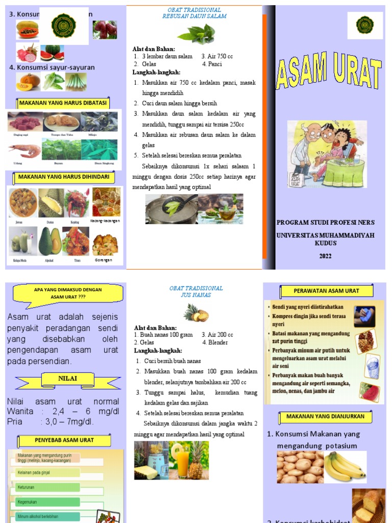 Leaflet Asam Urat | PDF