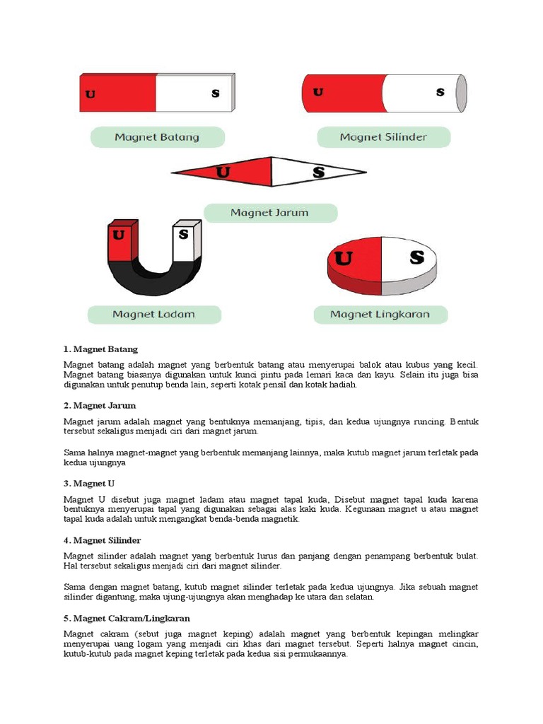 5 Jenis Magnet | PDF | Griya & Taman | Sains & Matematika