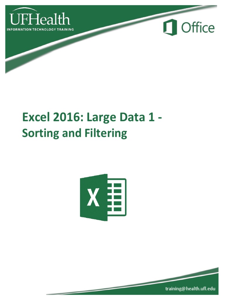 Excel2016 Sorting Filtering | PDF | Microsoft Excel | Computing