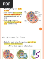Organelles Cheat Sheet | PDF | Endoplasmic Reticulum | Cell (Biology)