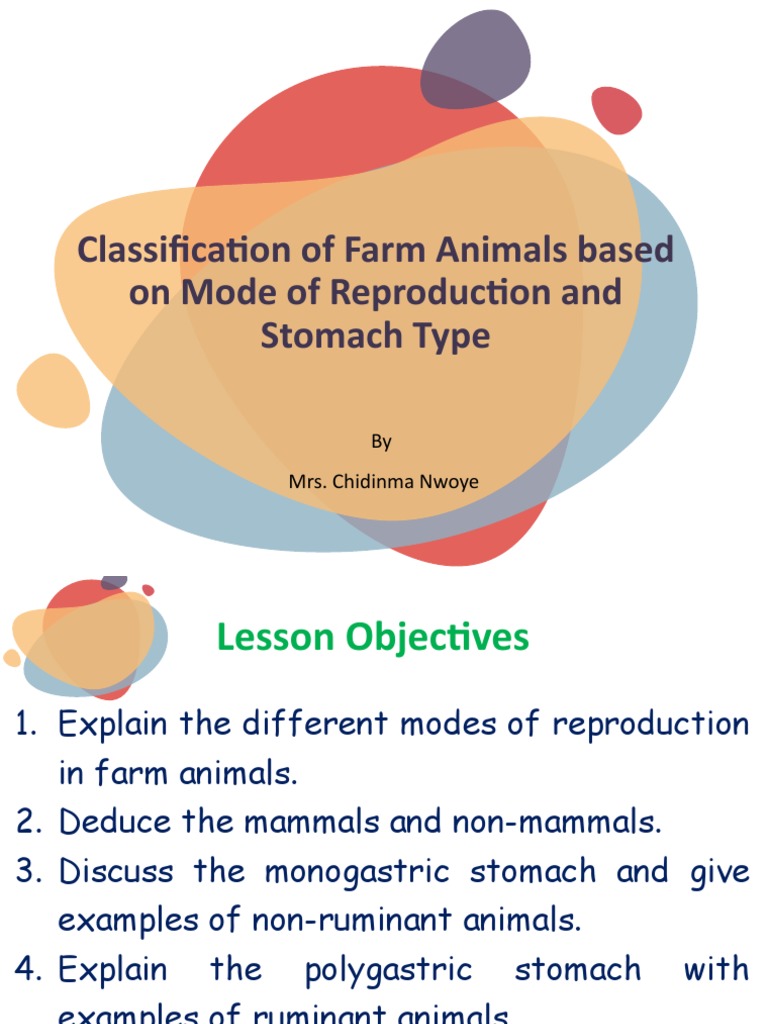 Classification of Farm Animals by Reproduction | PDF | Ruminant | Digestion