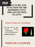 Flower | PDF | Plant Reproduction | Flowers