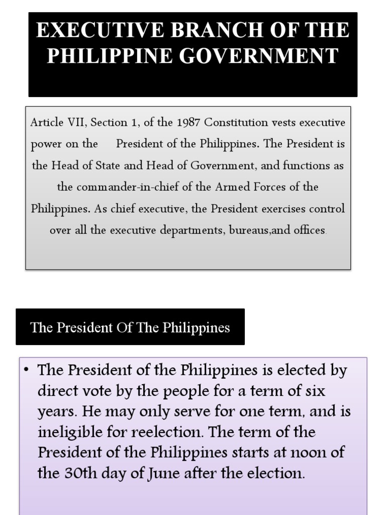 Executive Branch of The Philippine Government | PDF | World Politics ...