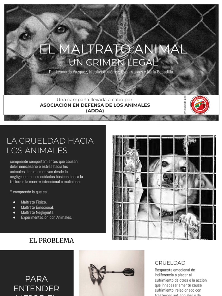 Maltrato Animal | PDF | Abuso infantil | Crueldad hacia los animales