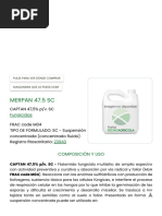 Variedad Penta de Almendro: Características | PDF | Almendra | Flores
