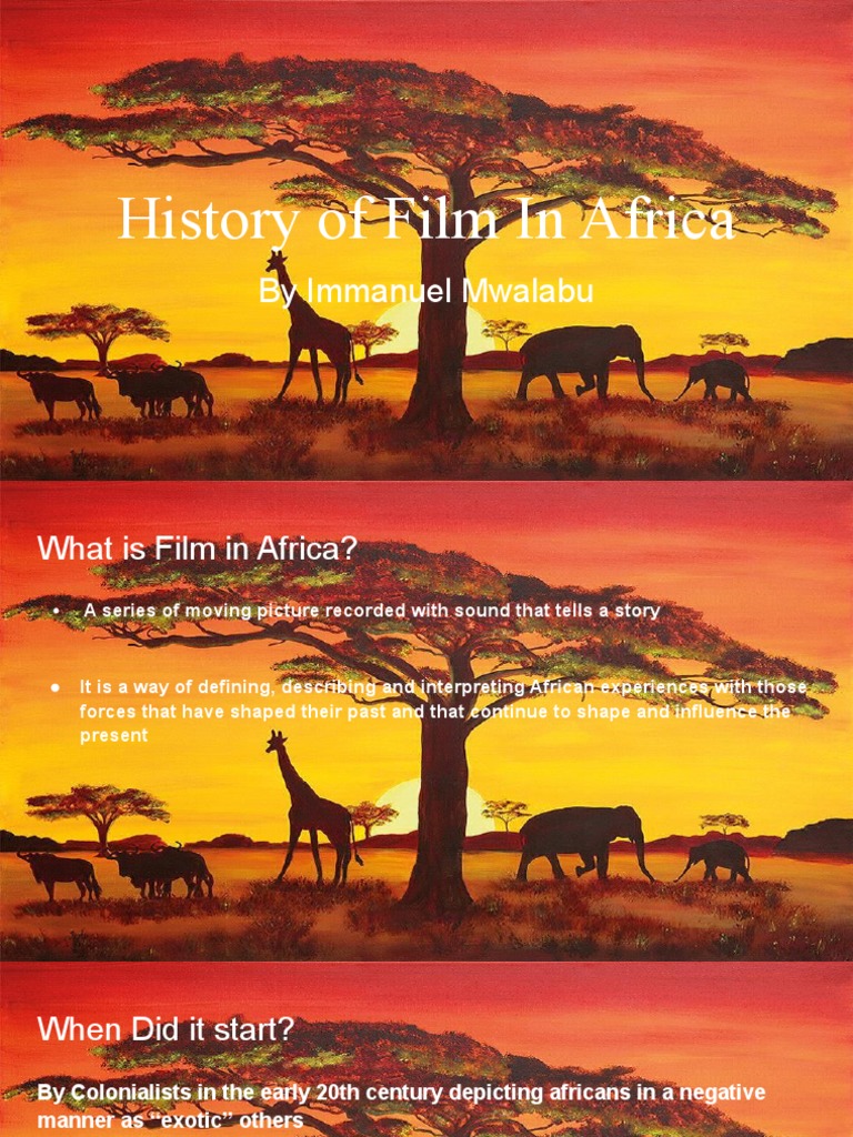 History of Film in Africa | PDF