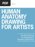 Drawing-Human Figure | PDF | Drawing | Face