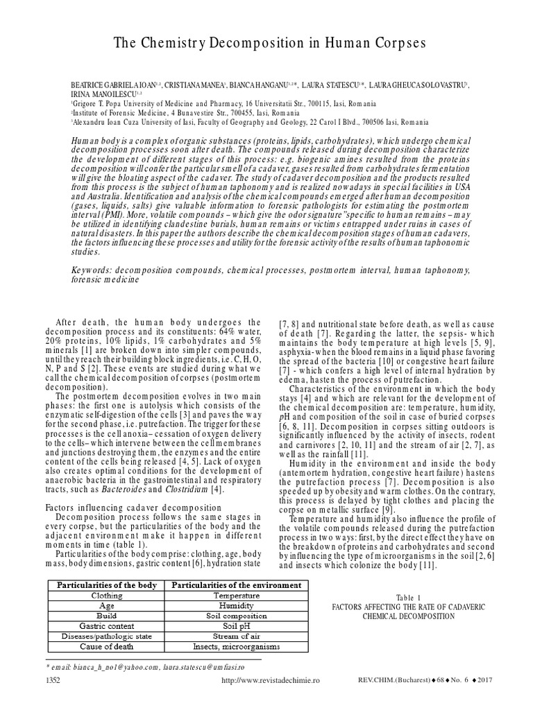 The Stages of Chemical Decomposition in the Human Body: A Guide to ...