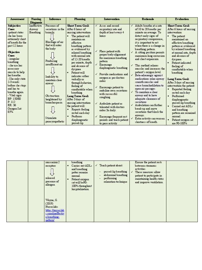 NCP Ineffective Breathing Pattern | PDF | Breathing | Respiratory System