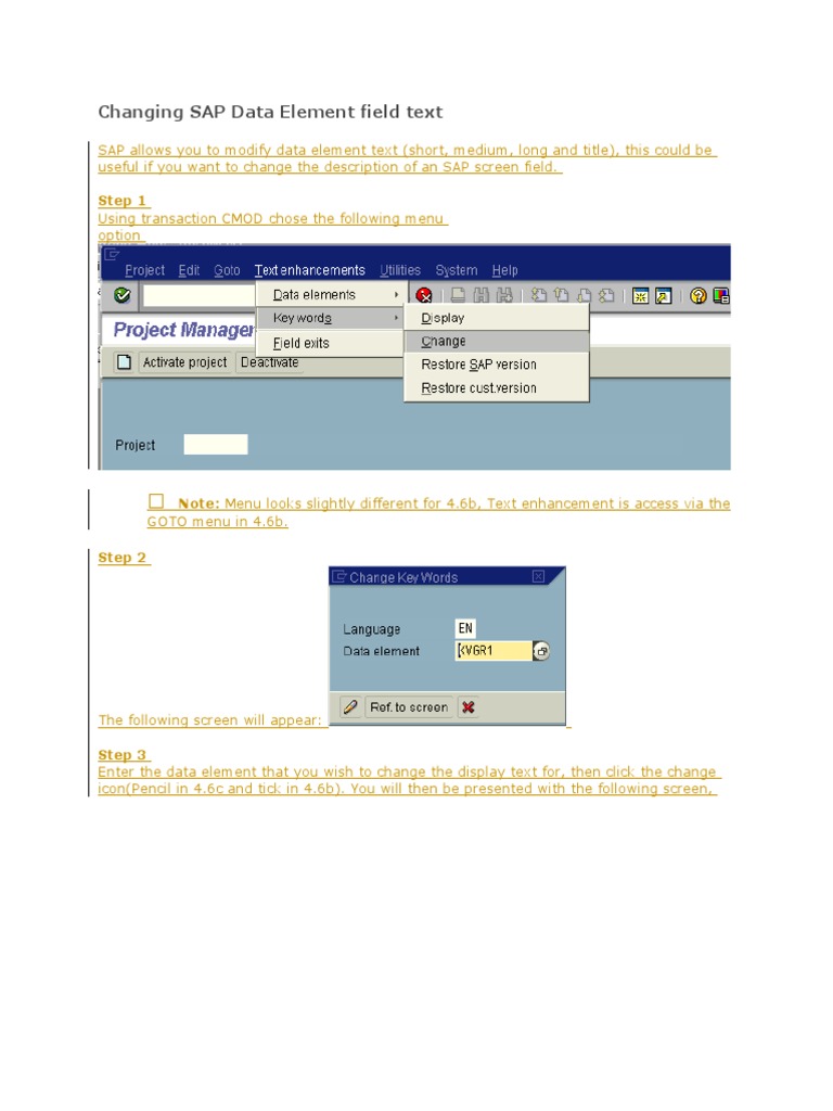Changing SAP Data Element Field Text | PDF | Business | Technology ...