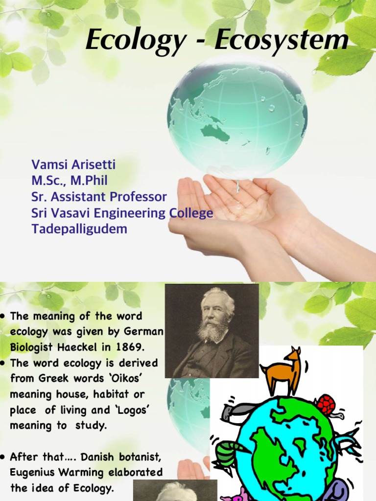 Ecosystem Ppt 735 Pdf Ecosystem Food Web