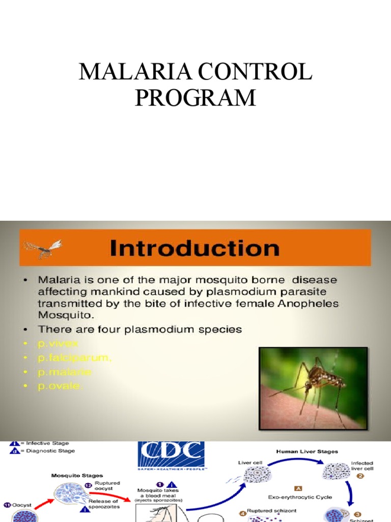 Malaria Control Program | PDF | Malaria | Mosquito