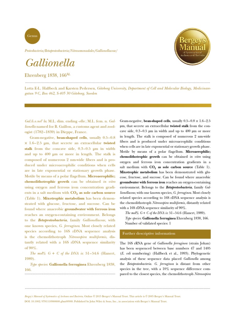 Gallionella Ferruginea | PDF | Iron | 16 S Ribosomal Rna