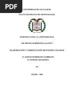Alantoides: Función y Desarrollo Embrionario | PDF | Anatomia animal ...