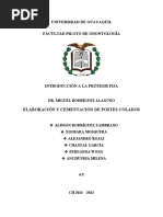 Alantoides: Función y Desarrollo Embrionario | PDF | Anatomia animal ...