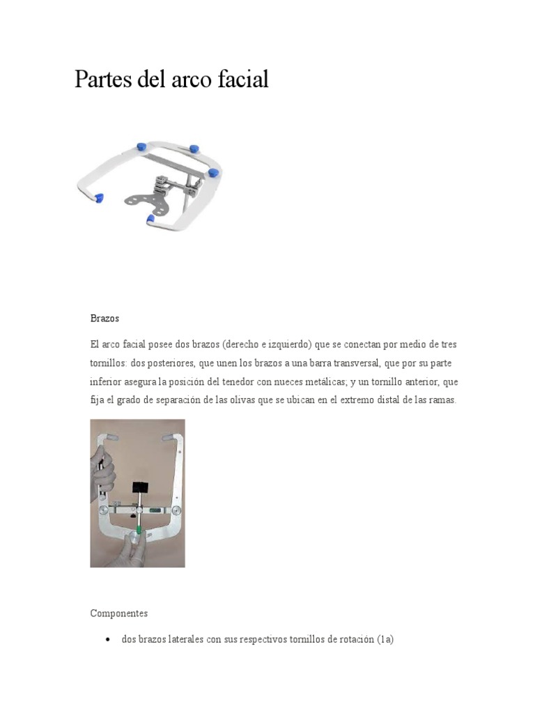 Partes Del Arco Facial | PDF