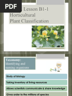 dbRAS Setup Guide for New Starters | PDF | Mobile App | Password