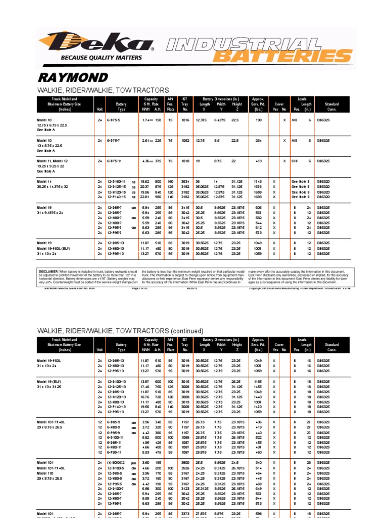Raymond | PDF | Battery Charger | Battery (Electricity)