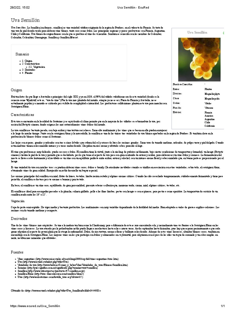 Características de la Uva Semillón | PDF | Variedades de uva | Vino