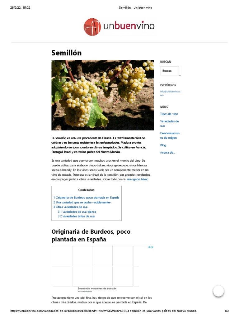 Semillón - Un Buen Vino | PDF | Vino | Variedades de uva