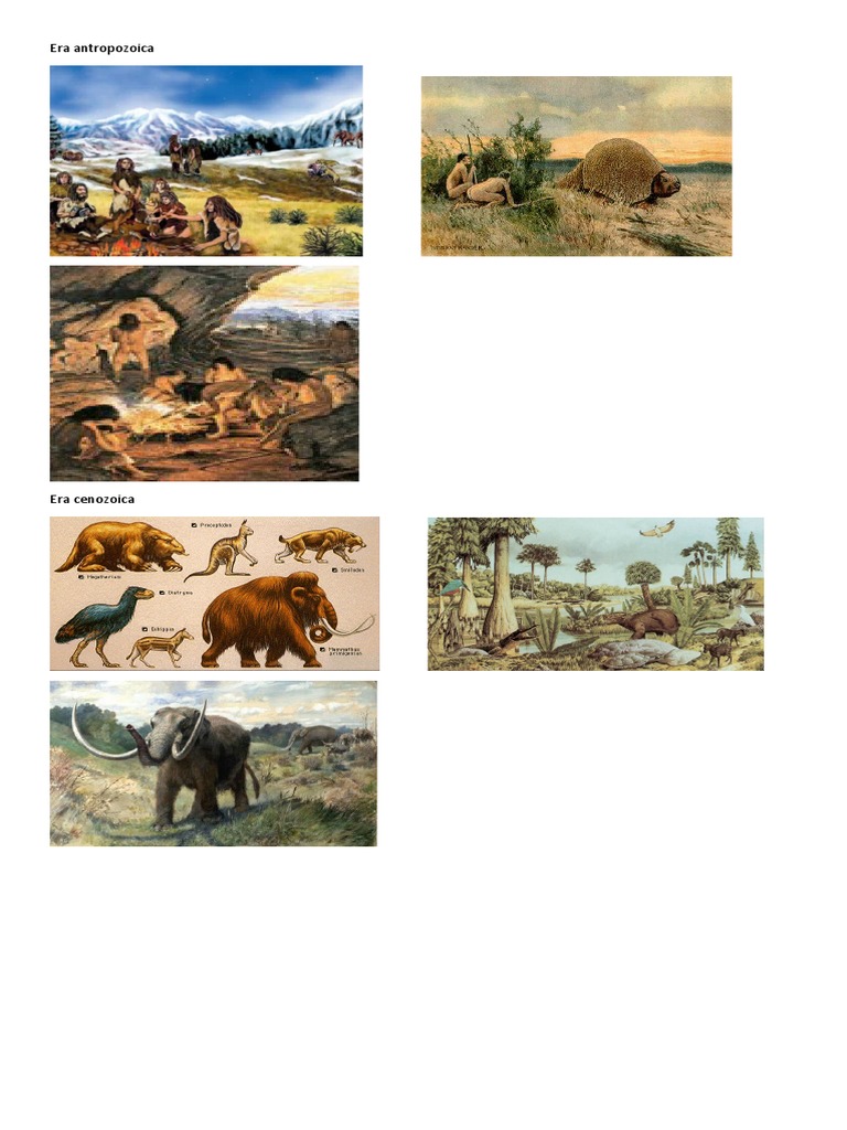 Era Antropozoica | PDF | Salud pública | Epidemiología