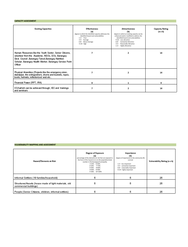 Capacity Assessment Existing Capacities Effectiveness (A ...